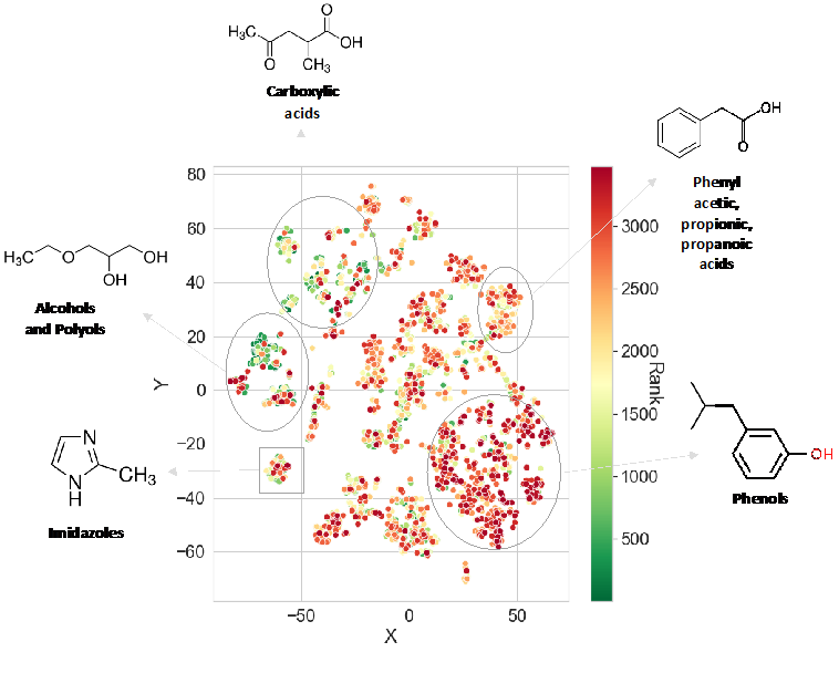School Seminar: Professor Lilo D. Pozzo; University of Washington ...