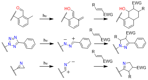School Seminar: A/Prof. James Blinco; Queensland University of ...