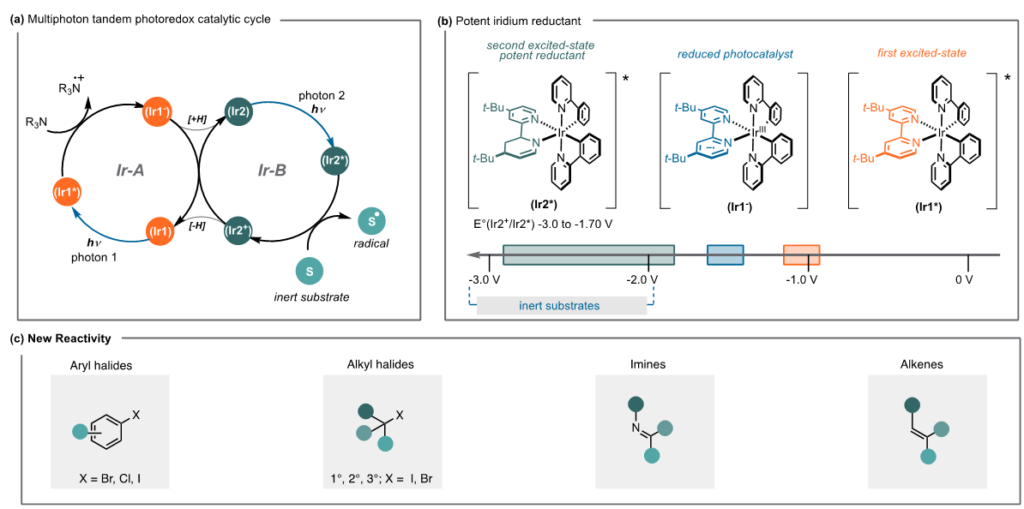 School Seminar: Dr Anastasios Polyzos, University of Melbourne – School ...