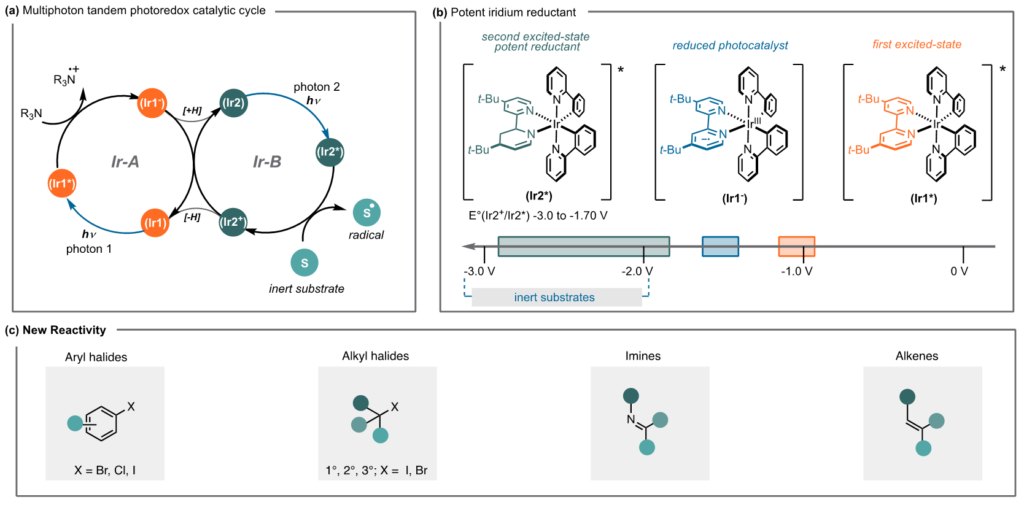 School Seminar: Dr Anastasios Polyzos, University of Melbourne – School ...